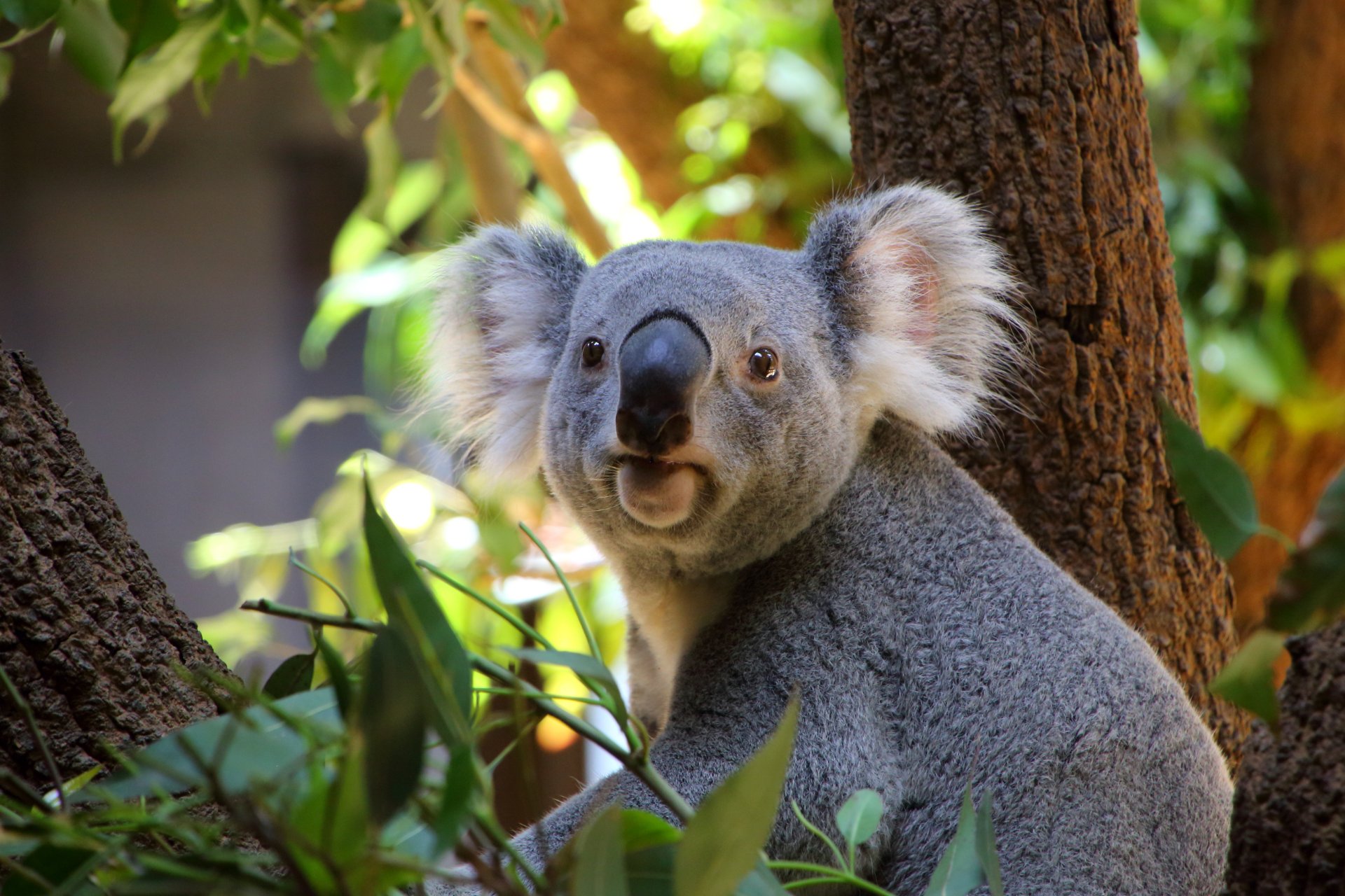 Perth Private Jet Charter | evoJets